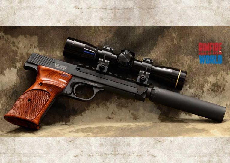 Custom 22 Projects and Build Guides | Rimfire World